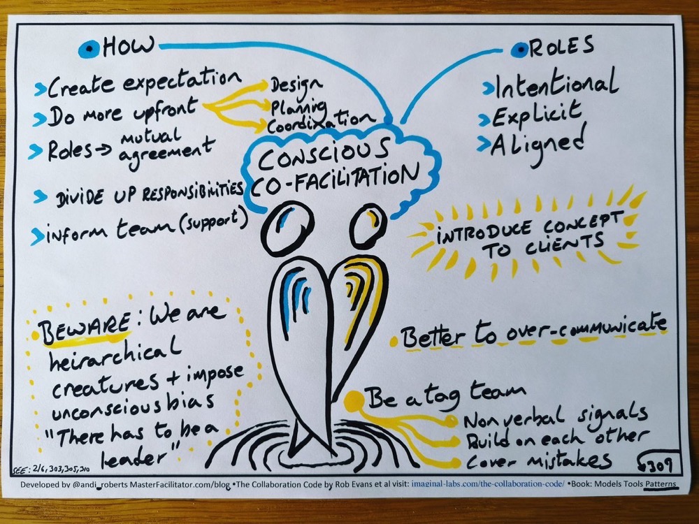 Conscious co-facilitation – Andi Roberts